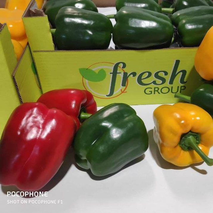 Productos y marcas | Grupo Fresh